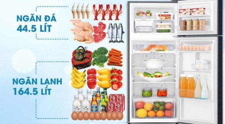 Tủ lạnh LG GN-M208BL inverter 208L model 2019